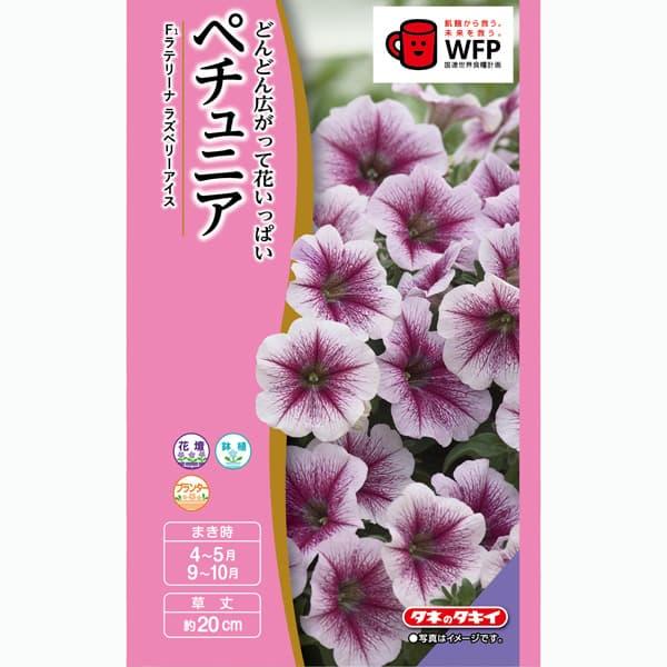 種　タネ　F1ラテリーナ系は葡萄タイプの種子系ペチュニア。ハンギングバスケットや景観・花壇需要に最適！旺盛な株張りで1株最大90cm幅に広がる。株の中心部にも花がつき、見応えある大株となる。たいへん強健で雨後の回復が早く、耐暑性も強い。花径...
