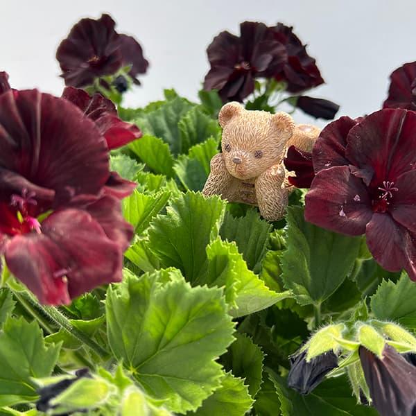 ほっこり可愛いクマのピックです。温かみのある雰囲気を醸し出し、植物に添えてお楽しみください。※詳しい商品説明は下のほうに記載があります