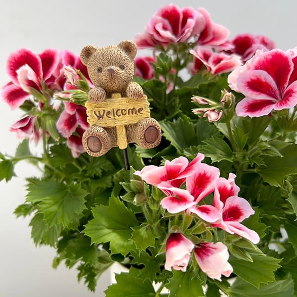 ほっこり可愛いクマのピックです。温かみのある雰囲気を醸し出し、植物に添えてお楽しみください。※詳しい商品説明は下のほうに記載があります