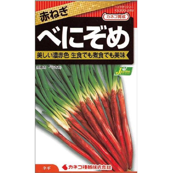 生食でも煮食でも美味 1〜4月まき カネコ種苗 ハイクオリティシリーズ 作りやすく味のよいハイクオリティーシリーズ。カネコ種苗の交配種を中心としたオリジナルの種です。※種袋のデザインが変わる場合があります。11月〜3月どりに適した秋冬ネギ。...