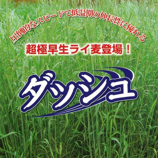 ダッシュは晩夏播きで年内収穫が可能な超極早生品種のライ麦です。※詳しい商品説明は下のほうに記載があります