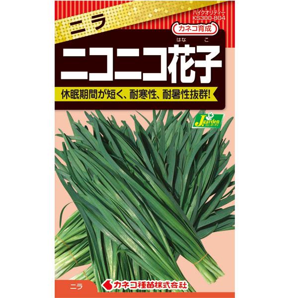 「ニコニコ花子」は葉幅が1cm前後と広く、肉厚で色濃いニラです。耐寒性・耐暑性に優れ、再生力が強いため長期どりでも安定して収穫できます。※詳しい商品説明は下のほうに記載があります
