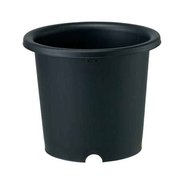 待望の4号が登場！軽くて使いやすく、排水性・通気性が抜群の菊鉢です。底穴が底全体に設けられており、根腐れを防ぎます。寸胴なフォルムは容量たっぷりで、根も張りやすいです。菊作り用の鉢ですが、性能や見た目、コスパも良く、最近ではさまざまな植物に...