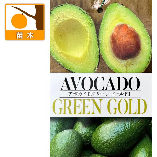 NHK趣味の園芸25年12月号掲載 ★入荷から日数が経ったためセール価格となりました。商品の状態は画像と異なる場合があります。★アボカドは中南米原産の熱帯果樹で、熱帯地域で広く栽培されています。果実には脂質が多く含まれており「森のバター」と...