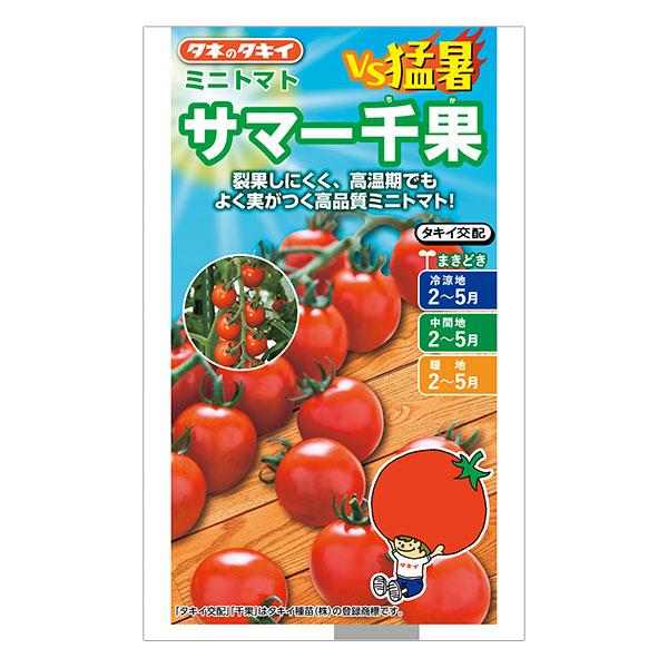 裂果しにくく、高温期でもよく実が付く、甘さあふれる高品質ミニトマトです！短節間で管理しやすく、高温期の着果性にすぐれます。裂果が少なくヘタがとれにくいので出荷率が上がります。果実サイズは20-25gで、安定しツヤがある濃赤色の果実とヘタの見...