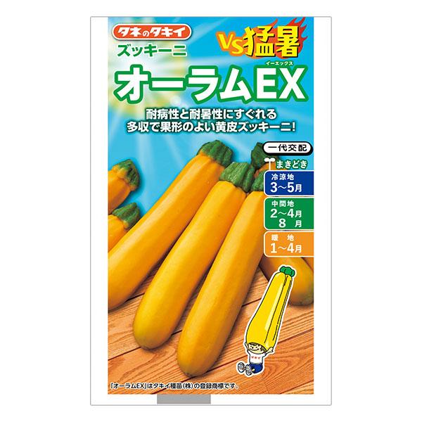 耐病性と耐暑性に優れる早生で多収の黄皮ズッキーニです。果実は濃黄色で円筒形で、作期を通じて果皮色が安定します。節間が短く倒伏に強いため栽培は簡単です。濃緑色果皮の「ダイナーEX」の姉妹品種で、雌花の着生がよく連続して収穫できます。交配後4-...