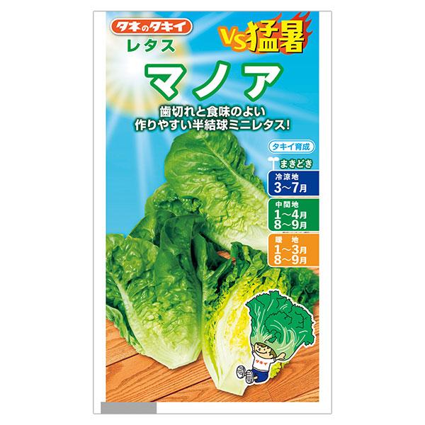 「マノア」は歯切れと食味のよい、耐暑性があり作りやすい半結球ミニレタスです！播種後50-60日で収穫できる超極早生種です。葉色は明るい淡緑色で、内部は黄色に着色し、コブシ大のサイズで揃います。※詳しい商品説明は下のほうに記載があります