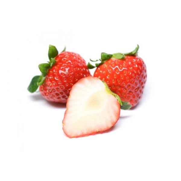 糖度と酸度のバランスが取れた農研機構のお薦め品種 ★入荷から日数が経ったためセール価格となりました。商品の状態は画像と異なる場合があります。★恋みのりは大粒で香りの良い甘い実が連続してつきやすい多収品種です。イチゴを通して託された想いが叶う...