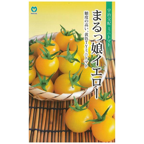 高糖度で美味しいミニトマト！果実は光沢のある美しい鮮黄色で、果皮はやわらかく口あたりが良く、糖度は安定して高く特に食味に優れています。草勢は中位で栽培しやすく、着果性も高い品種です。果重は12-15gとなり、食べやすくお弁当などにも入れやす...