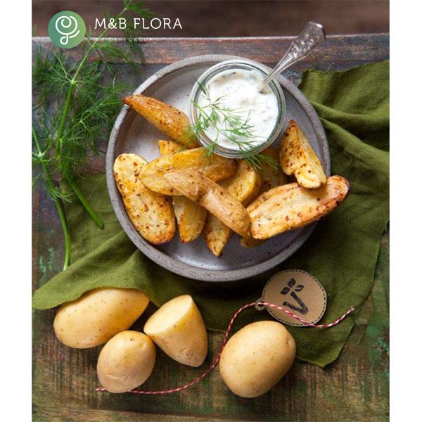 金のおつまみ芋は画期的な種子系（種から育てる）のじゃがいもです。従来のジャガイモは種芋を植えて栽培しますが、この品種は種から苗が生産され、苗を植えれば栽培できます。皮は白黄色、肉は淡い黄色で、やや粘質のじゃがいもです。ポットから苗を抜いて7...