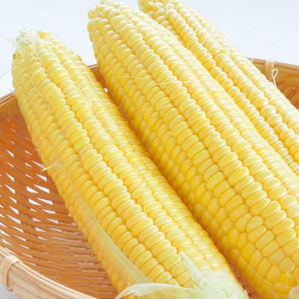 「ゴールドラッシュ」は、鮮やかな黄色い粒がぎっしりと並ぶ、スイートコーンの代表的な人気品種です。最大の特徴は、粒の皮が非常に薄くて柔らかく、口の中に残りにくいことです。非常に甘みが強く、ジューシーな食感が楽しめます。また、草丈が低めで倒伏し...