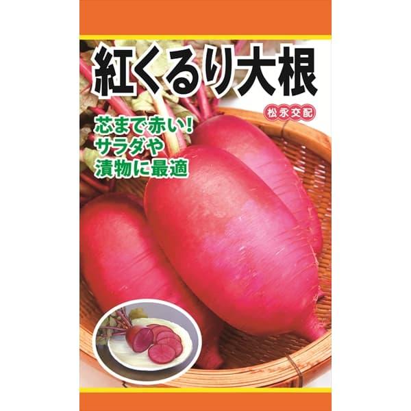 「紅くるり大根」は中まで赤い紅大根。20cmほどの短形で、シャキシャキと瑞々しく甘みと辛みのバランスが良く、サラダや酢漬けにすると彩りがきれい。※詳しい商品説明は下のほうに記載があります