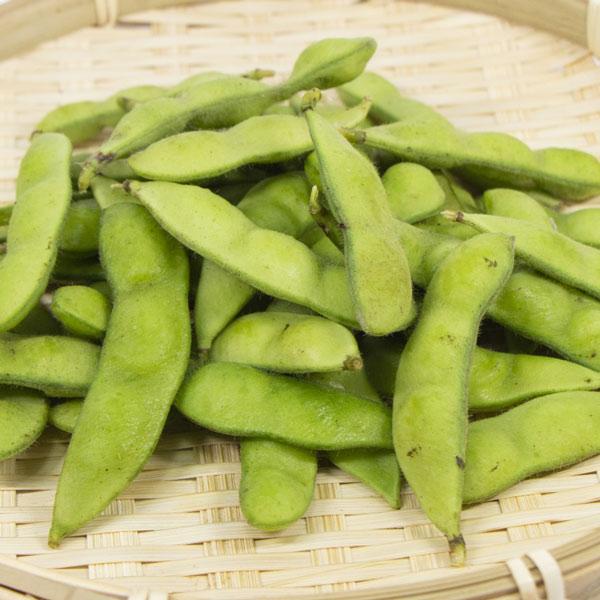湯あがり娘(R)は茶豆風のおいしい枝豆です。茶豆特有の芳香を持ち、食味の良さに影響するショ糖含有量の多い食味抜群の品種です。茶豆の風味でありながら見た目は白毛の品種で、ゆであがりは鮮やかなグリーンです。※詳しい商品説明は下のほうに記載があります