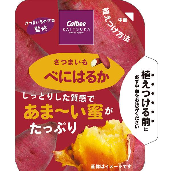 ★入荷から日数が経ったためセール価格となりました。商品の状態は画像と異なる場合があります。★しっかりした質感であま〜4蜜がたっぷり　さつまいも　べにはるか。※詳しい商品説明は下のほうに記載があります