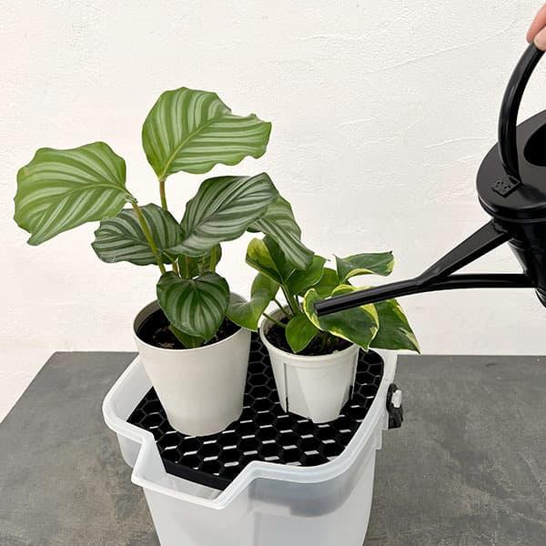 「ドレイニングトレイ 23型」と「バケツ・エンジョイ 10L」を組み合わせた、水やり後の作業を快適にしてくれる便利なセットです。※詳しい商品説明は下のほうに記載があります