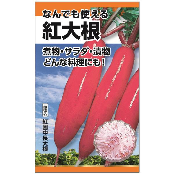 種 たね皮は紅色、中身は白色の彩りが美しい紅大根です。生食・煮大根・漬物なんでも使用できる万能品種！※詳しい商品説明は下のほうに記載があります