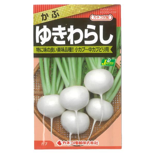 カネコ種苗 ハイクオリティシリーズ カネコ交配 種　タネ　カブってこんなにおいしいの？と驚くようなおいしさ。ゆきわらしは病気に強く低温肥大性も高い、小カブから中カブまで収穫ができる作りやすい品種です。根部は豊円形でまとまりが良く、肉質はやわ...