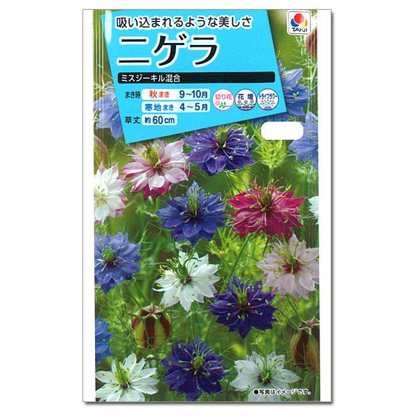 種　タネ　ラブリーな花色・花形のニゲラのミックス種。和名はくろたねそうです。草丈50〜60cmの耐寒性1年草で、花径4〜5cmの千鳥草に似た花を1茎に1花ずつ咲かせ、葉には深い切れ込みが入ります。実は風船のようにふくれドライフラワーにできま...