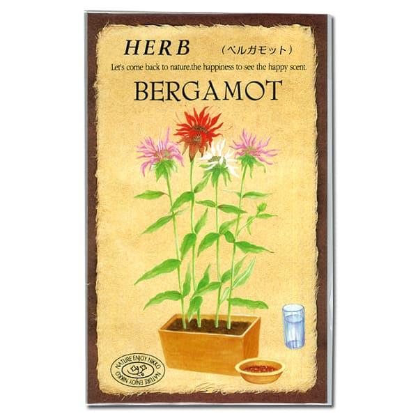 ハーブティー ポプリ 蜜源植物 種　タネ　ベルガモットは北アメリカ原産の多年草です。花壇の宿根草としてよく植えられ、夏から秋にかけて色鮮やかな赤い花を咲かせ、タイマツバナとも呼ばれます。葉にオレンジによく似た芳香があり、蜜蜂がよく集まる事か...
