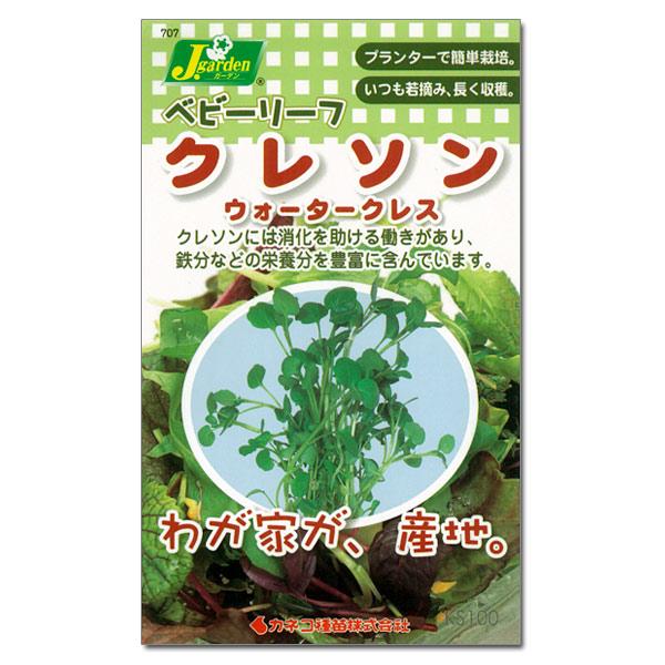 種　タネ　プランターで簡単に栽培でき、いつも若摘みで長く収穫できるベビーリーフです。※詳しい商品説明は下のほうに記載があります