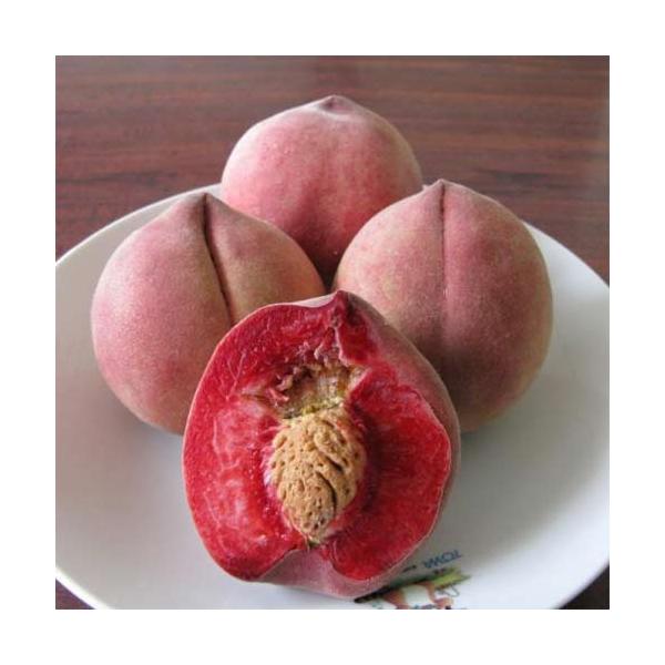 先端がとんがり、割れ目がはっきりした天津水密は、古くからある原種に近い品種で「桃太郎」の絵本に出てくる桃のイメージにぴったりです。水蜜桃と呼ばれるように白く柔らかな肉質とたっぷりとした果汁が特徴でさっぱりとした甘さです。生食以外にもジュース...