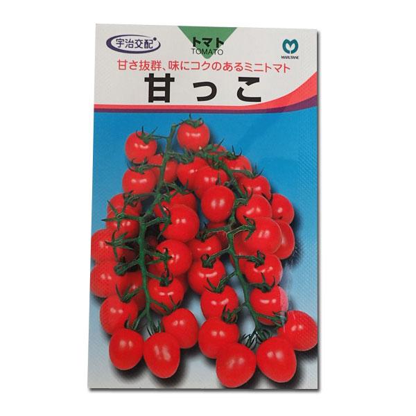 種　タネ　甘さ抜群、味にコクのあるミニトマト！高糖度で酸味とのバランスに優れた食味抜群のミニトマトです。果実は20g前後となり、テリのある鮮赤色で果形はやや縦長の美しい果実です。また、ガクはしおれにくく新鮮な状態が長く続き店もちにも優れてい...