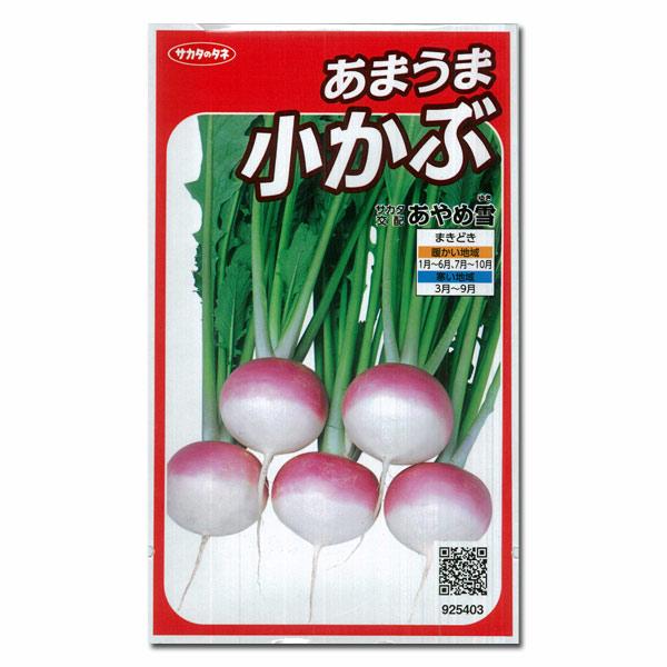 種　タネ　あやめ雪は紫と白の色合いがきれいな小かぶです。盛夏期を除いて、若どりでも球形がまとまり紫色も入ります。ち密な肉質で甘みが強く、サラダや酢漬けにおすすめです。※詳しい商品説明は下のほうに記載があります