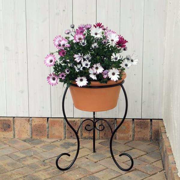 寄せ植えを引き立てるエレガントなフラワースタンドです。丸みを帯びたフォルムがやわらかいソフトな印象で、内側の補強として入れた柄で豪華さを出しています。エントランス、お庭で寄せ植えを素敵に演出してくれます。※園芸資材ですので細かな傷はございま...