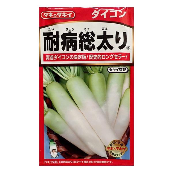 種　タネ　ス入りの心配がない、甘い青首大根の最高峰！耐病性が強く、早太りで、特にス入りの遅い良質の青首総太りだいこん。タネまき後60日から収穫でき、60日余りで根長38cm、根径8cmになります。※詳しい商品説明は下のほうに記載があります