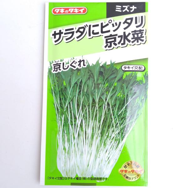 低温下での栽培で、株張りに優れる小株どり早生種です。葉は鮮緑の細葉で欠刻が多く、葉軸は純白極細で品質がよいです。食感がよくアクが少ないので、サラダなど用途が広いです。※詳しい商品説明は下のほうに記載があります