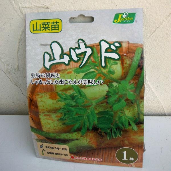 野菜・山菜の裸苗のお徳用パックです。家庭菜園に育てやすい山菜コーナーを！自然の味覚をご家庭でいかがですか？春の香りの山菜といえば、山独活。さくさくとした歯ざわりと強い香りが日本料理には欠かせません。山野に生える大形の宿根草で、高さ2m前後に...