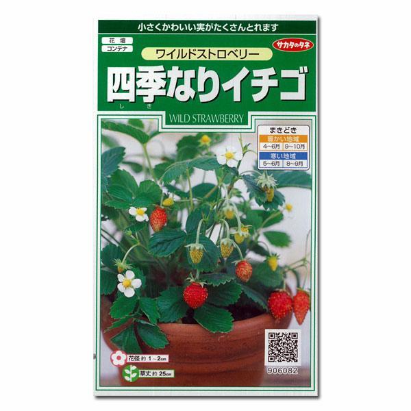 種　タネ　小さく可愛い実が沢山取れます！実は鮮紅色で2〜3cmの小粒ですが、味は1粒ごと個性的で、旬の時期や大株になるとより甘みが増します。四季なり性なので鉢植えにして室内で管理すると、冬でも小粒ですが収穫出来ます。※詳しい商品説明は下のほ...