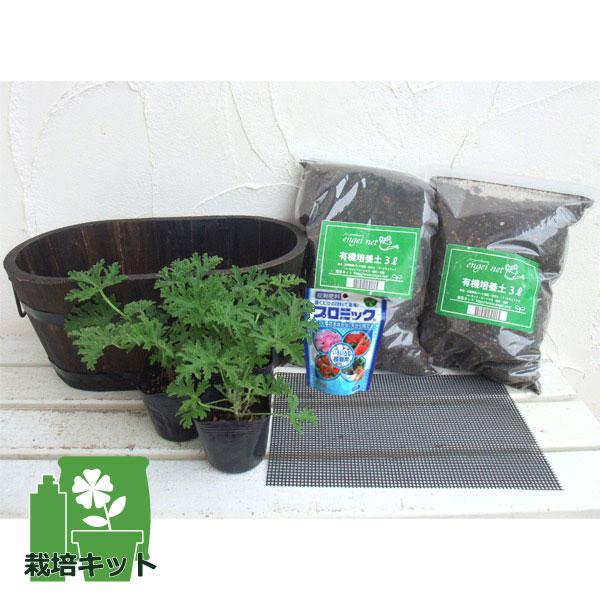 蚊よけ植物の栽培セット、植え込み用の土と肥料と自然な風合いの焼杉プランターのセットです。※詳しい商品説明は下のほうに記載があります