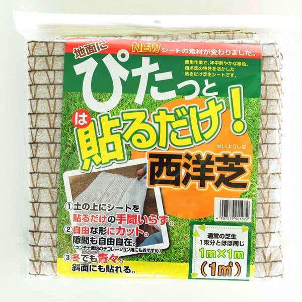 屋上緑化にも使える！ 地面に貼るだけ！簡単に一年中鮮やかな緑の芝生が実現できる、西洋芝の造成用シートです。繊維のシートに種と土・肥料がサンドイッチ状にはさまれているもので、シートを地面に広げて散水すれば種まき終了です。ベース部分は、自然に戻...