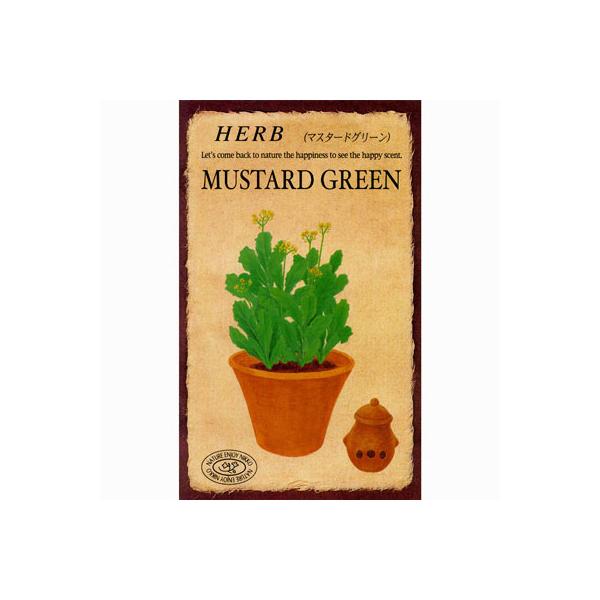 サンドイッチに 種 タネ香辛料として有名なマスタード、その種子と縮みがかった葉を利用しますが、共にピリッとした辛さがあります。※詳しい商品説明は下のほうに記載があります