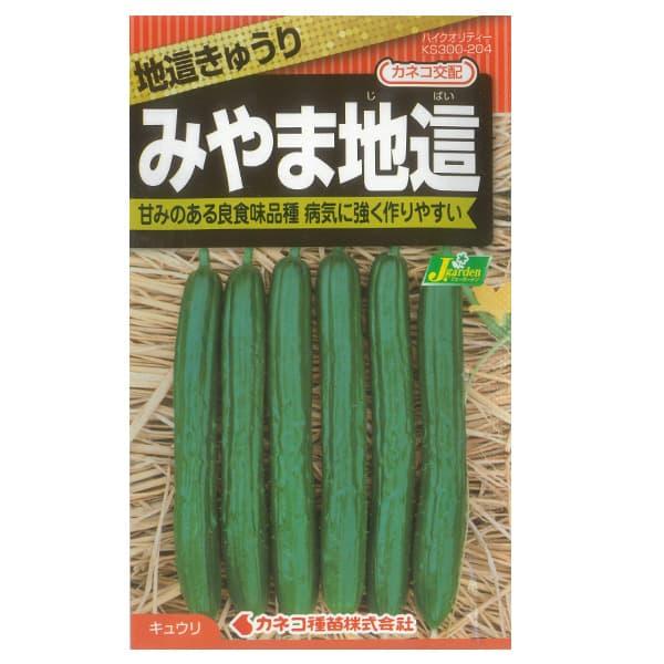 ハイクオリティシリーズ 作りやすく味のよいハイクオリティーシリーズ。カネコ種苗の交配種を中心としたオリジナルの種です。地這きゅうり「みやま」は耐病性、耐暑性に強く、地這品種ですが支柱栽培にも適した丈夫で育て易い多収品種です。果肉は歯切れよく...