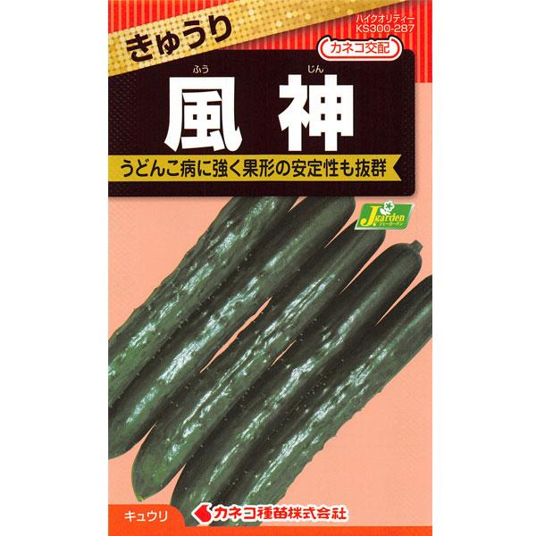 カネコ種苗 ハイクオリティシリーズ 種　タネ　作りやすく味のよいハイクオリティーシリーズ。カネコ種苗の交配種を中心としたオリジナルの種です。ウドンコ病に強い抵抗性があり、枝の動きもよく、果形の安定性も抜群です。果実の長さは20〜21cm位で...