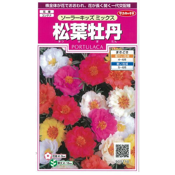 種　タネ　草丈約15cm、株張り約25cmのコンパクトな株全体が花径約5cmの可愛らしい八重咲きの花で覆われます。従来種よりも早咲きで、日中開花している時間が長く、鮮やかな色彩が魅力の一代交配種です。※詳しい商品説明は下のほうに記載があります