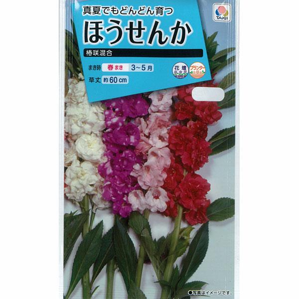 子供に人気！種が飛び散る花です。種がはじけ飛ぶことでよく知られる花です。生育が早く作りやすく、花色の美しい混合。草丈は50〜60cmになり、花弁数の多い八重咲きで半日陰に耐えます。※詳しい商品説明は下のほうに記載があります
