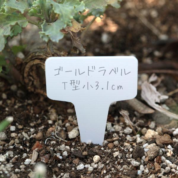 プラスチック製の品種ラベルです。鉛筆で書くことができ、書き味なめらか。長期間文字が消えません。鉛筆書きの場合は消しゴムで文字が消せるので、繰り返し利用できます。※詳しい商品説明は下のほうに記載があります