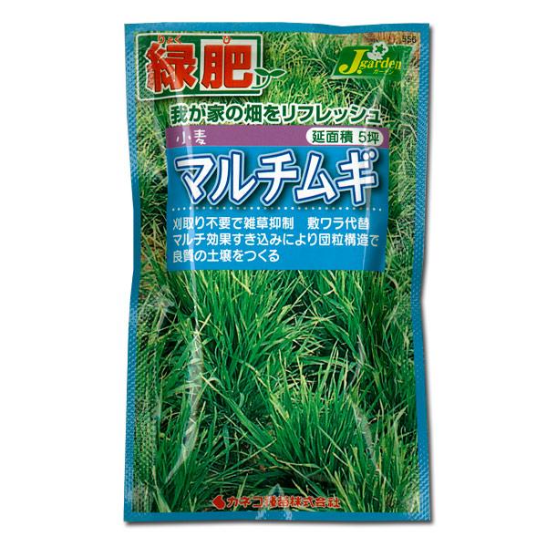 家庭菜園の土をリフレッシュする、緑肥作物のタネです。刈り取り不要で雑草を抑制し、敷き藁がわりになるマルチムギ。さらにすき込みにより団粒構造で良質の土壌を作ります。※詳しい商品説明は下のほうに記載があります