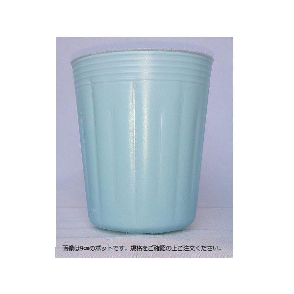 ●ポリポット深鉢のカラータイプです。●直根性品種にお薦めです。●穴数/   底3個