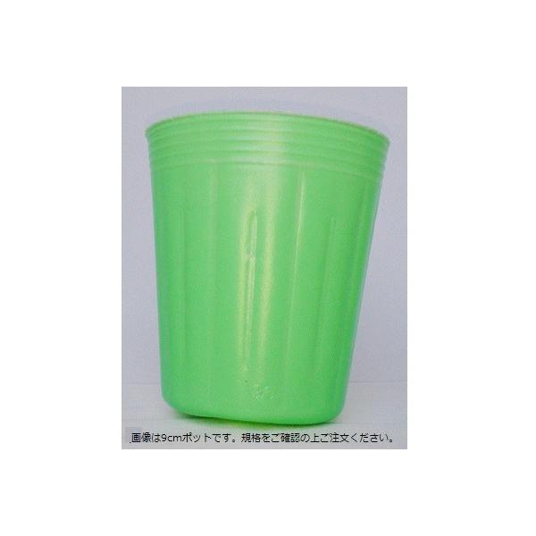 ●ポリポット深鉢のカラータイプです。●直根性品種にお薦めです。●穴数/   底3個