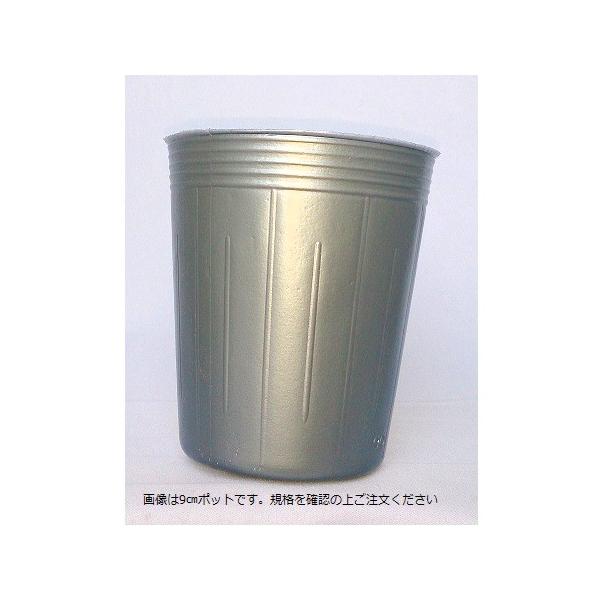 ●ポリポット深鉢のカラータイプです。●直根性品種にお薦めです。●穴数/   底4個