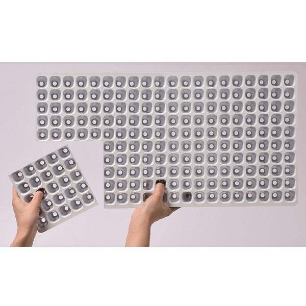 メーカー；明和・産直・店頭での小分けプラグ苗販売に最適！・１２８穴、８ピースにカット可能です。外寸：５９０Ｘ３００Ｘ４５ｍｍ※写真はイメージとなります。規格をご確認の上、ご購入をお願いいたします。