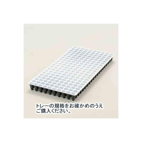 特性表面が白、裏面が黒色の二層構造です。白いトレーは日光を反射するため、黒のトレーより熱がこもりにくい為、夏場にお勧めです。外寸：300mmｘ590mm高さ：72穴（43mm）128穴・200穴（44mm）/288穴（39mm）