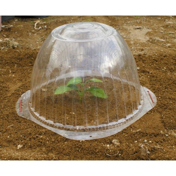・上部換気穴付きで、ドーム内の急激な温度の上昇を防ぎ、保温効果を維持します。・防虫・防獣にも効果有・スイカ・カボチャなどの果菜植物の定植以外に、花の苗も定植できます・針金用穴付だから固定も簡単です。・地球に優しい！使用済みペットボトルをリサ...