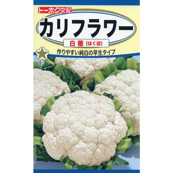 カリフラワーの種　早生タイプのカリフラワー　作りやすく、大きな純白の花蕾が収穫できる品種　生産地：オーストラリア　発芽率：80%以上　内容量：1ml