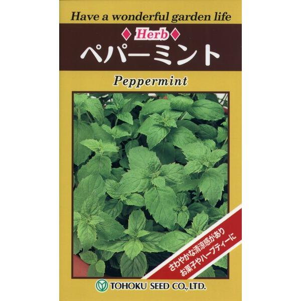 ハーブの種　さわやかな香りとクールな清涼感でおなじみのハーブ　ミントティー、サラダ、お菓子などさまざまに利用できます　生産地：ポーランド　発芽率：30%以上　内容量：0.1ml
