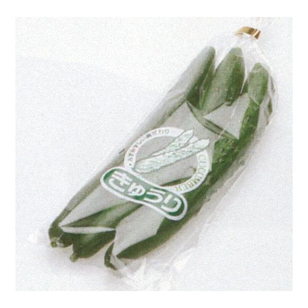 プラマーク入り。※お届けする商品は「包装資材」となります。中身は含まれません。